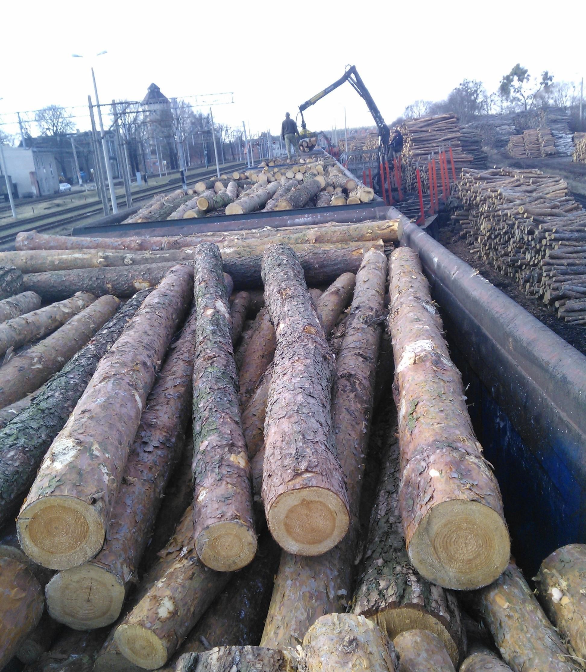 Southern Yellow Pine (SYP) - Windoors